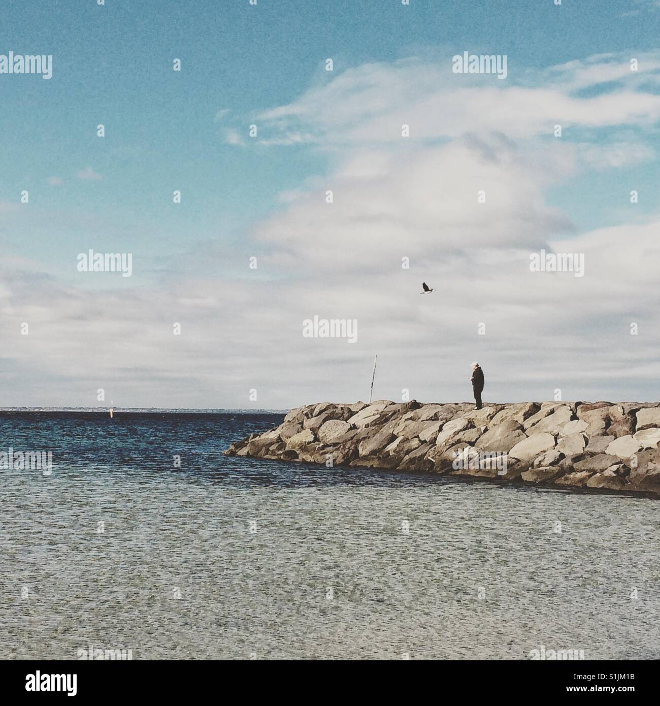 Williamstown melbourne hi-res stock photography and images - Alamy