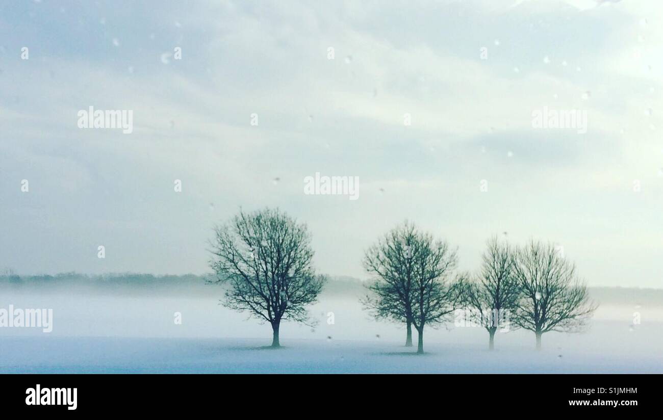 Cold Winter Day Stock Photo - Alamy