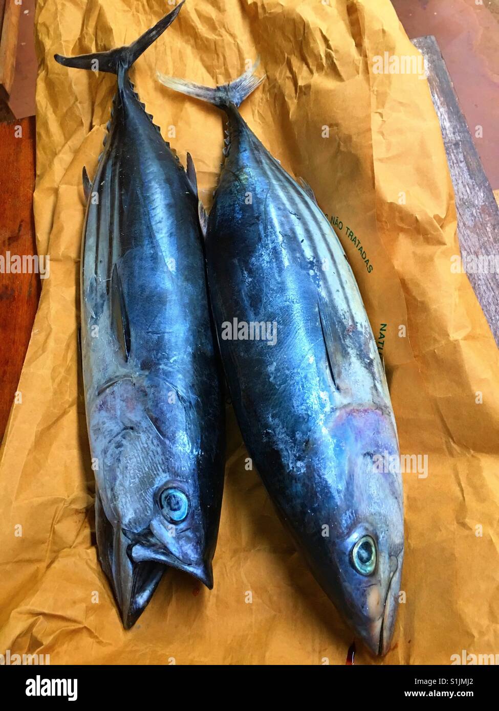 Large paper bag hi-res stock photography and images - Alamy