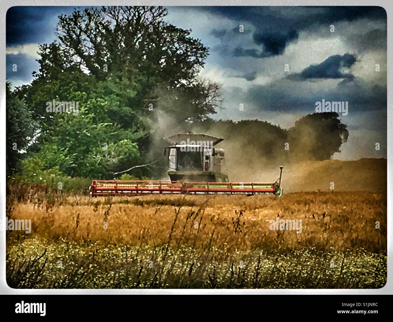 Combine harvester at work hi-res stock photography and images - Alamy