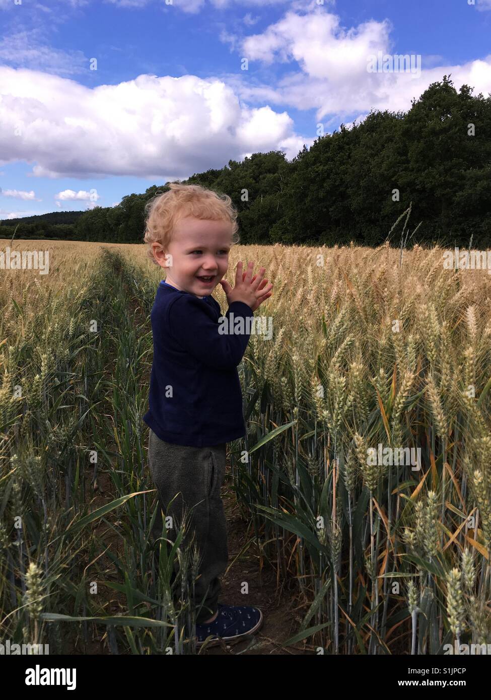 Summer walks hi-res stock photography and images - Alamy