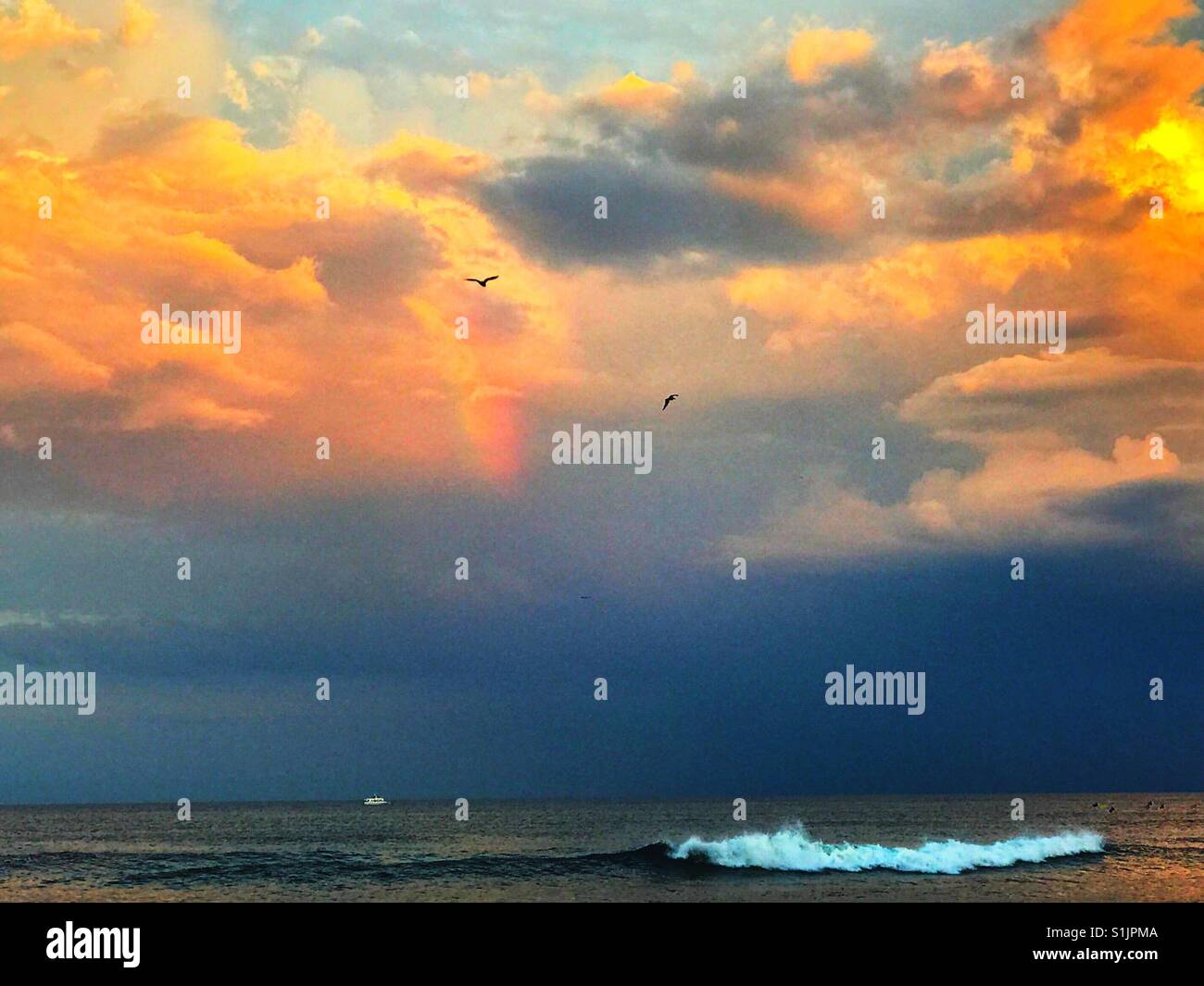 Birds fly over the rainbow hi-res stock photography and images - Alamy