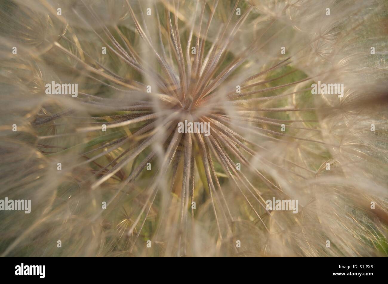 Micro centre hi-res stock photography and images - Alamy