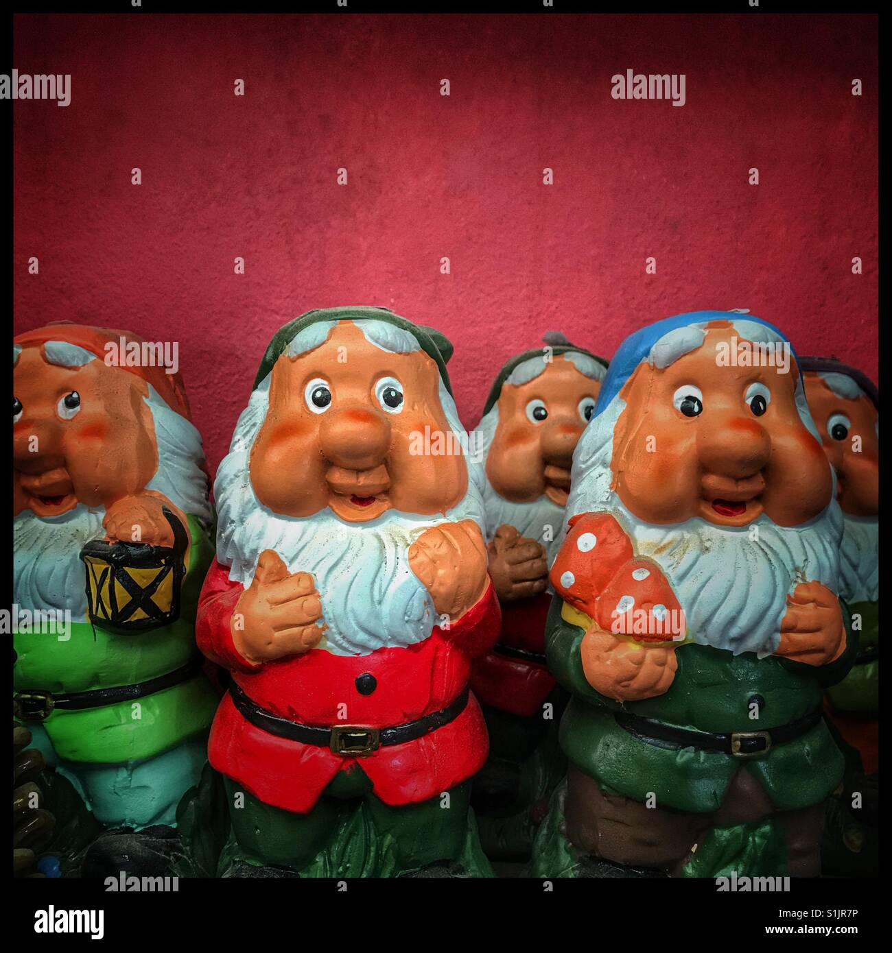 Row of gnomes Stock Photo - Alamy