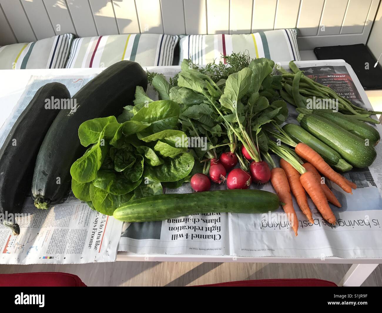 Vegetables from allotment Stock Photo - Alamy