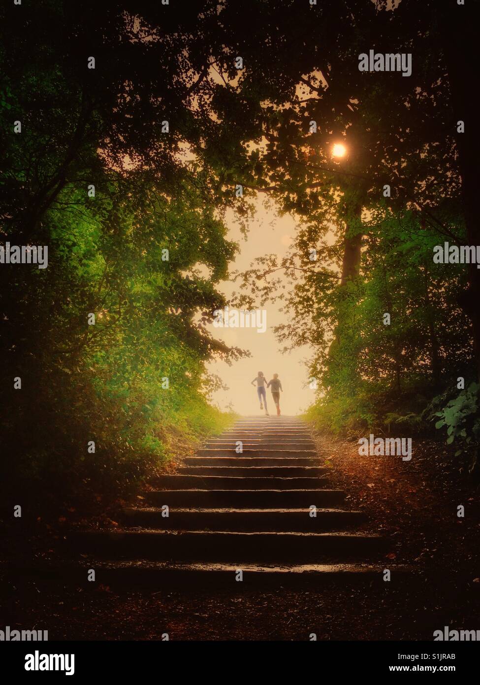 Steps with wood light hi-res stock photography and images - Alamy