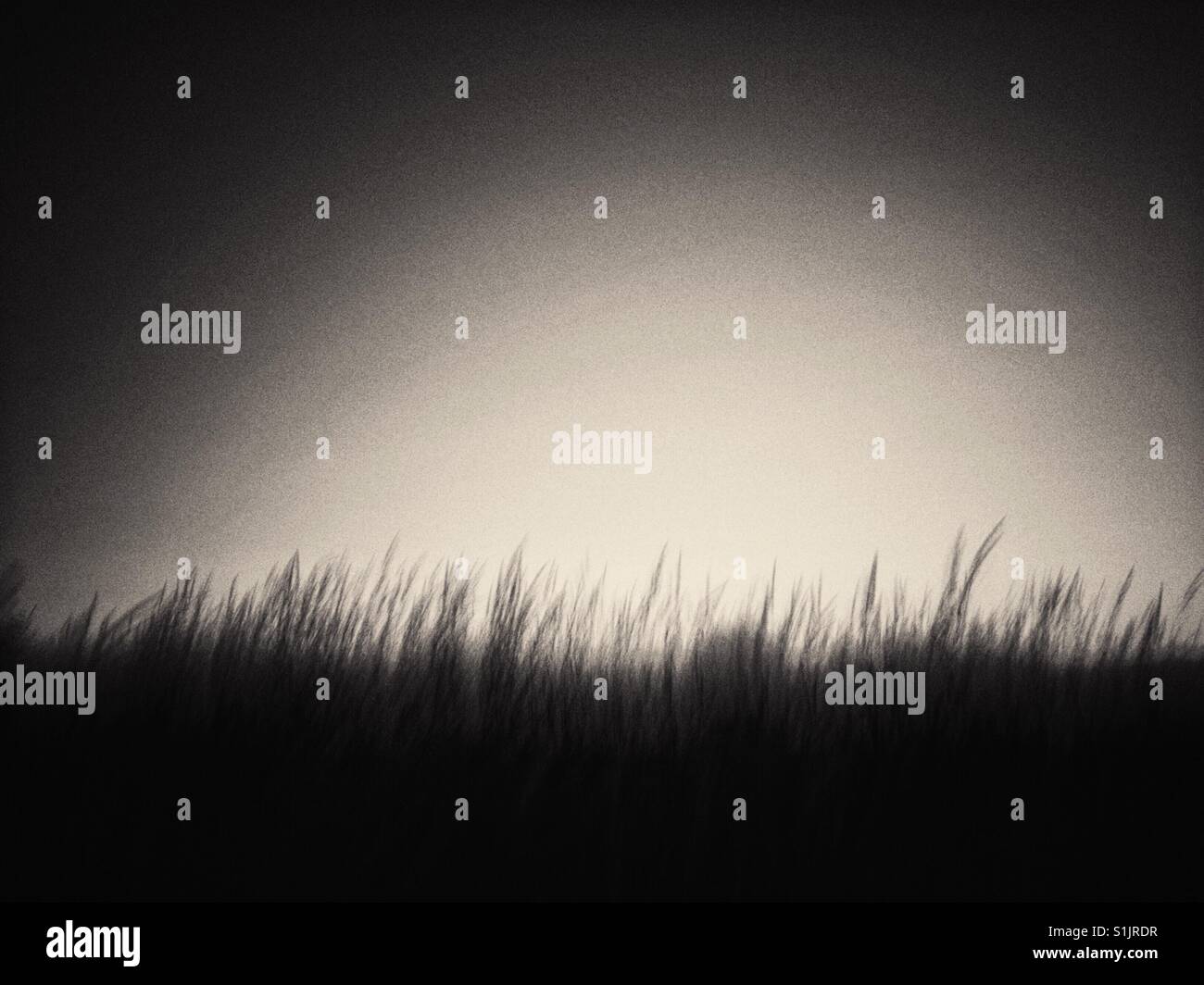 Dark field hi-res stock photography and images - Alamy