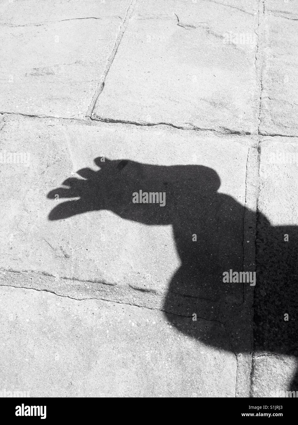 Shadow of foot hi-res stock photography and images - Alamy