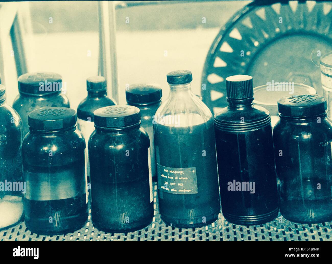 Antique Pharmacy Bottles elixirs in old pharmacy in Mississippi Stock ...