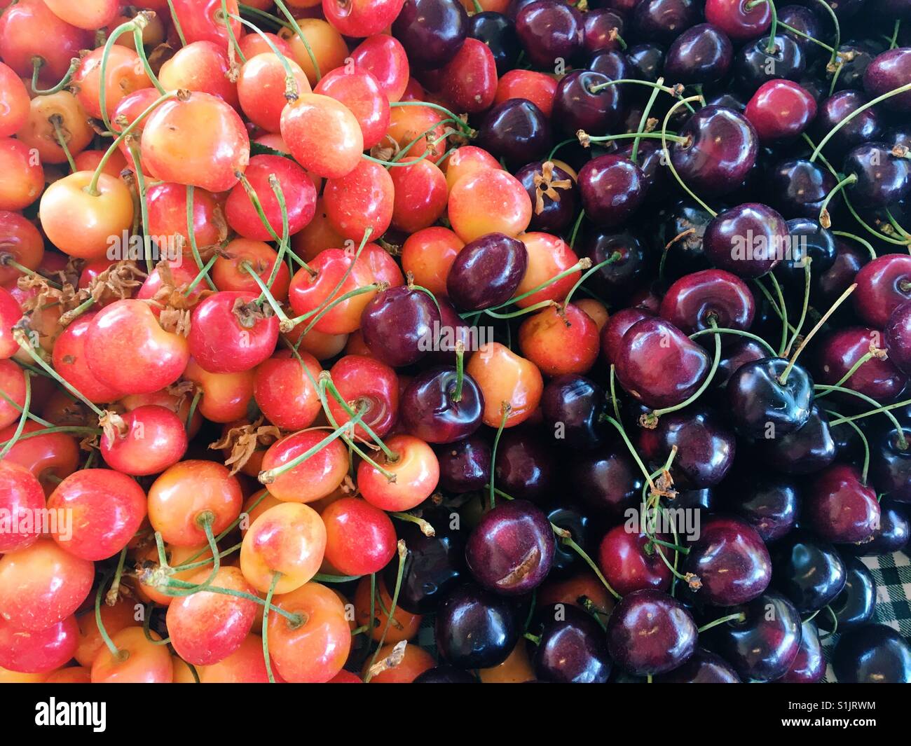 Valley of cherries hi-res stock photography and images - Alamy