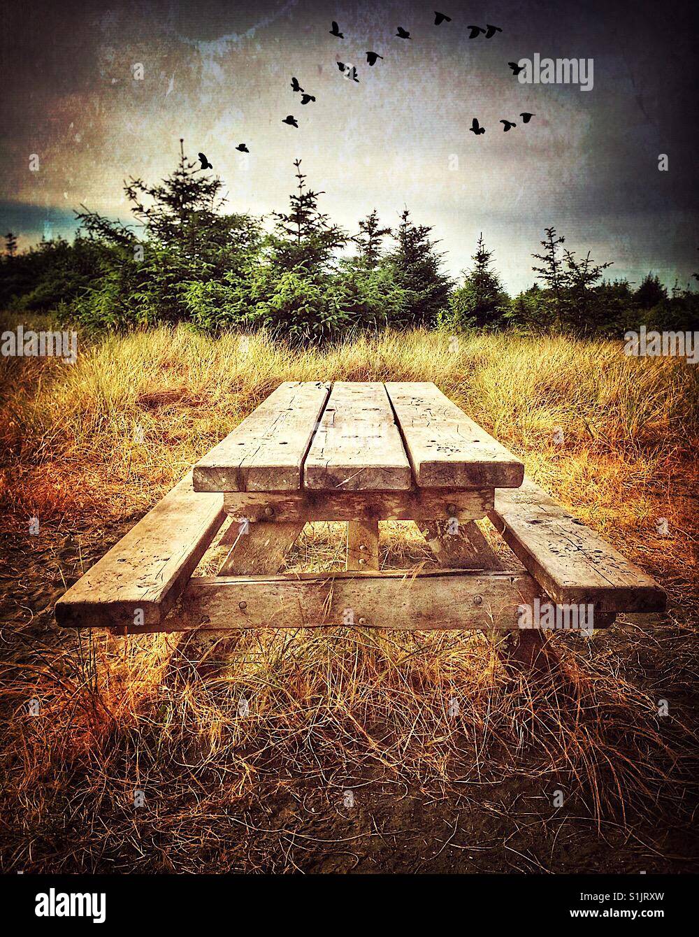 Birds on picnic table hi-res stock photography and images - Alamy