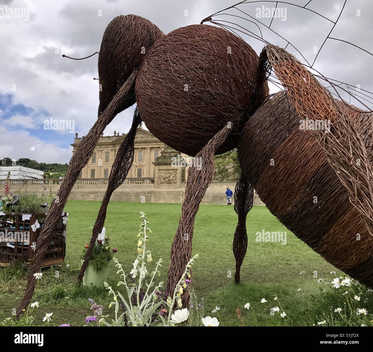 Giant wicker insect hi-res stock photography and images - Alamy