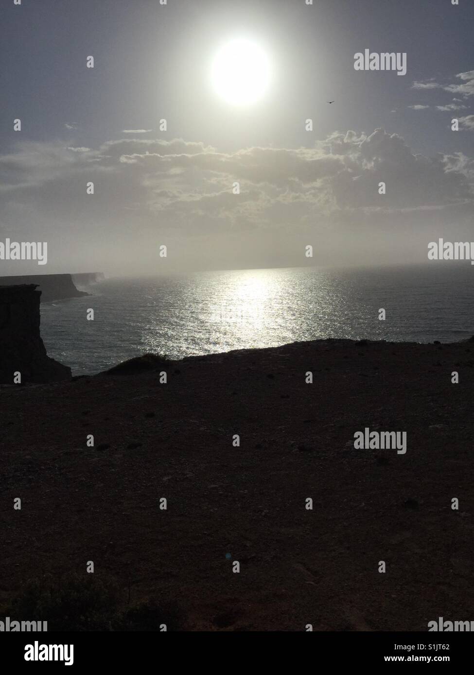 Best bite hi-res stock photography and images - Alamy