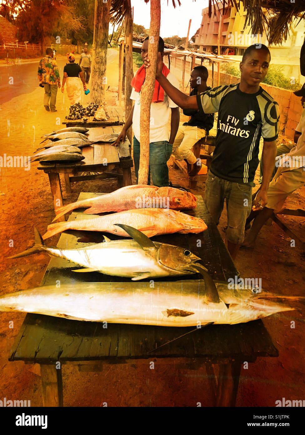 Man selling Marlin, blue fin tuna and coral trout at a roadside stall ...