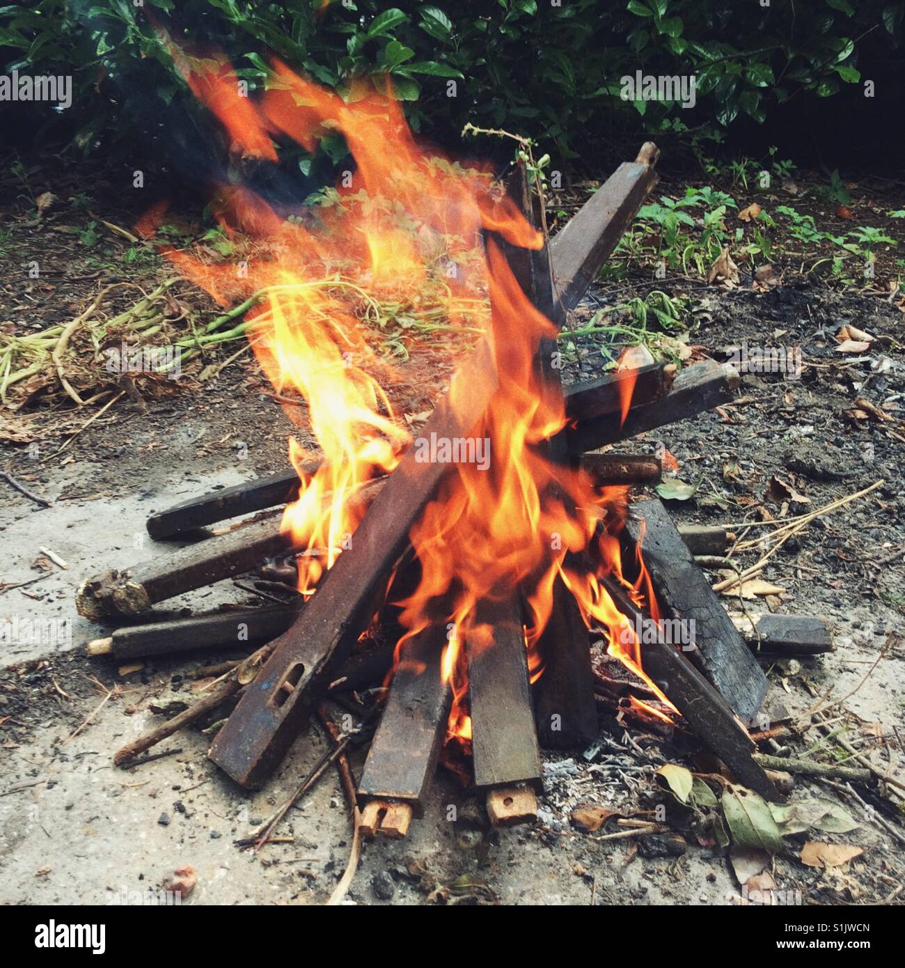 Roaring camp hi-res stock photography and images - Alamy
