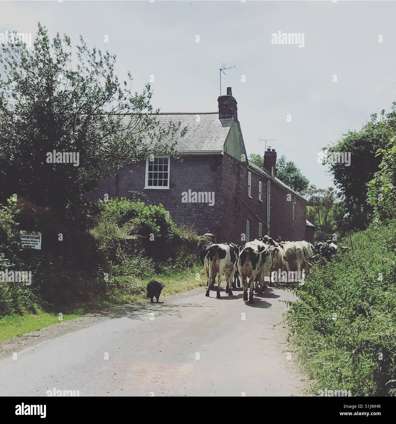 Traffic rural hi-res stock photography and images - Alamy
