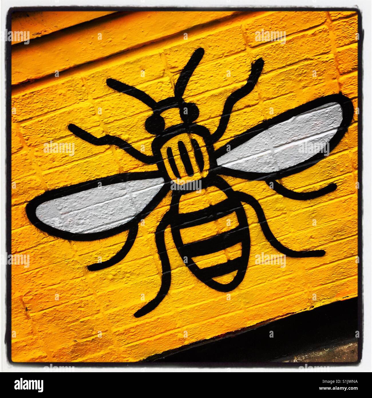 Manchester together bee hi-res stock photography and images - Alamy
