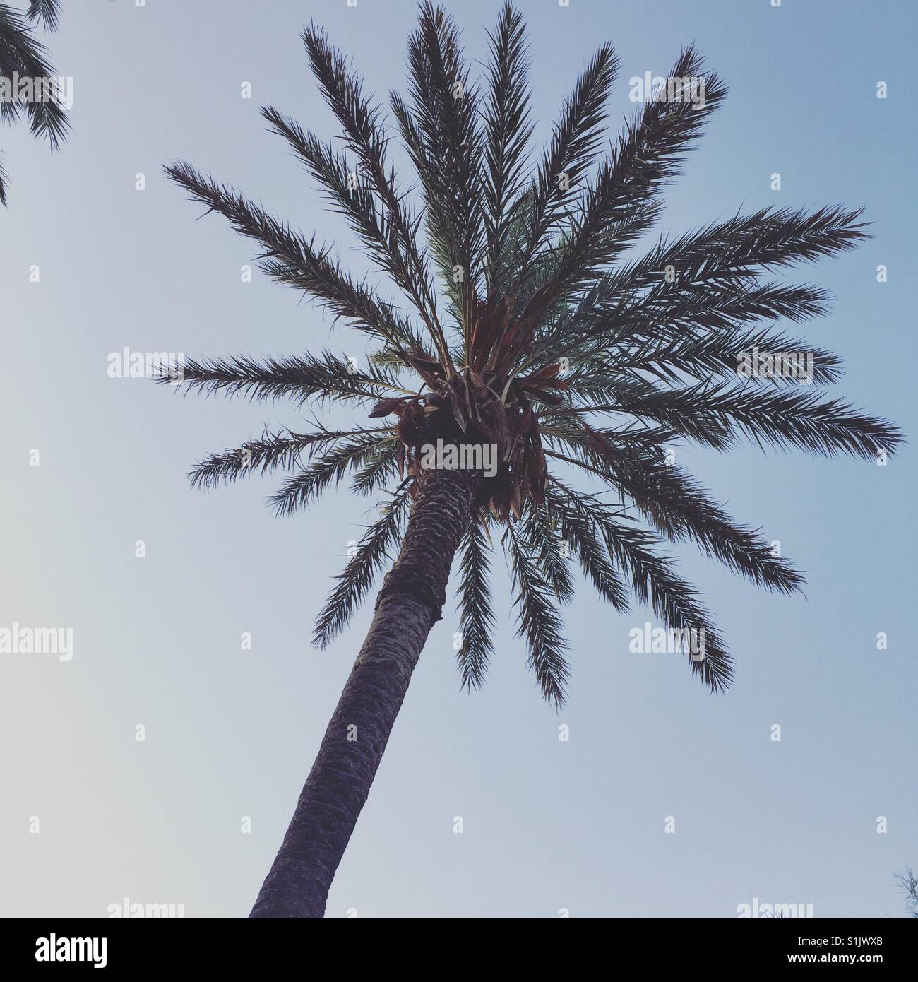 Explore mallorca hi-res stock photography and images - Alamy