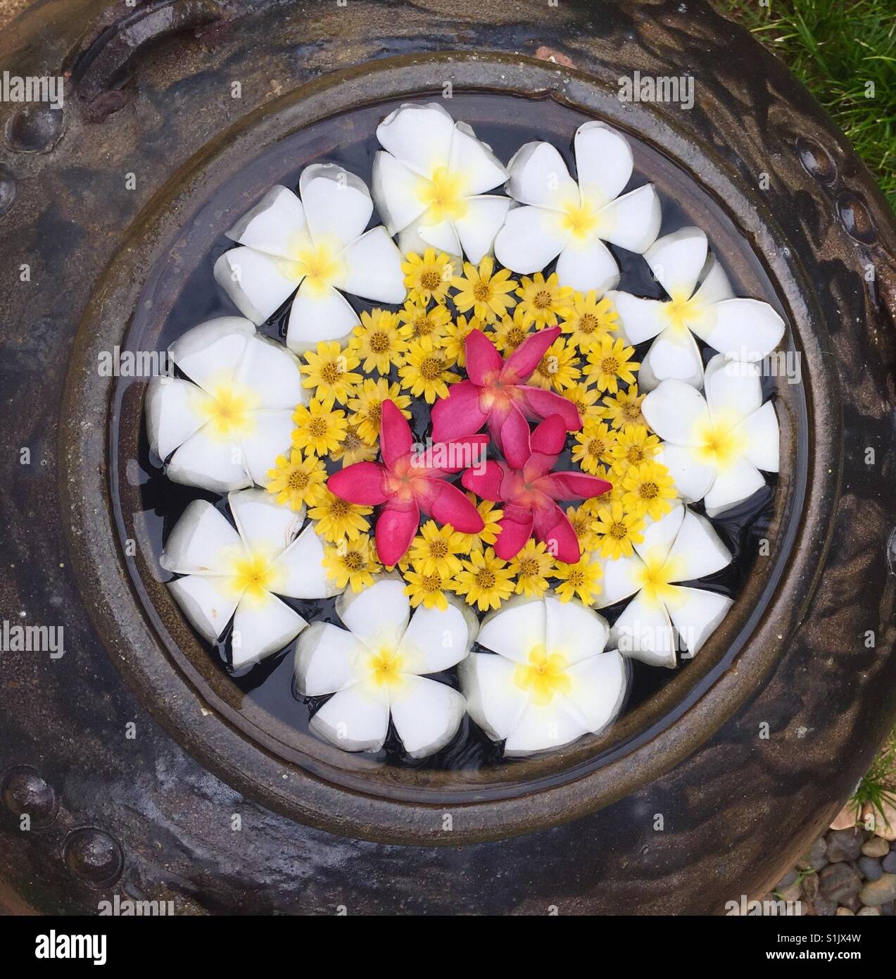 White floating petals hi-res stock photography and images - Alamy