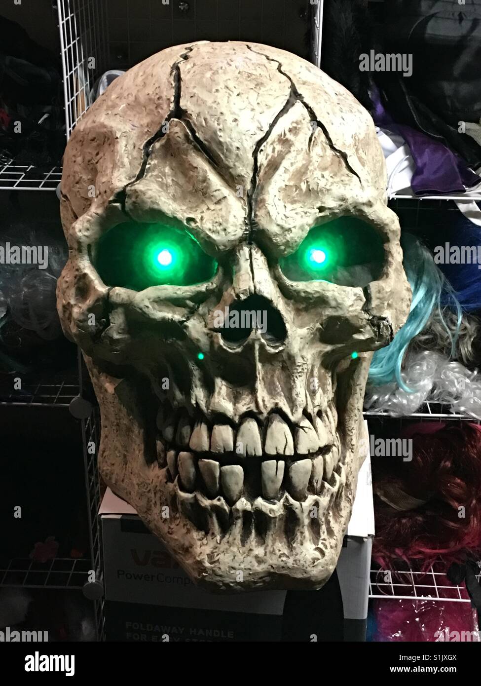 Green bones hi-res stock photography and images - Alamy