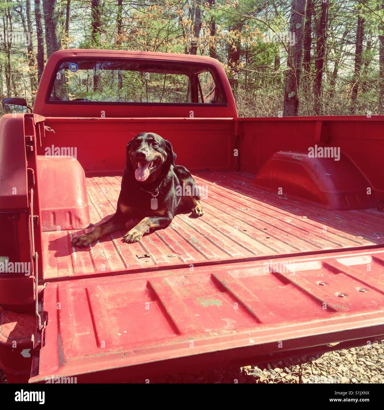 Enjoying the fall weather Stock Photo - Alamy