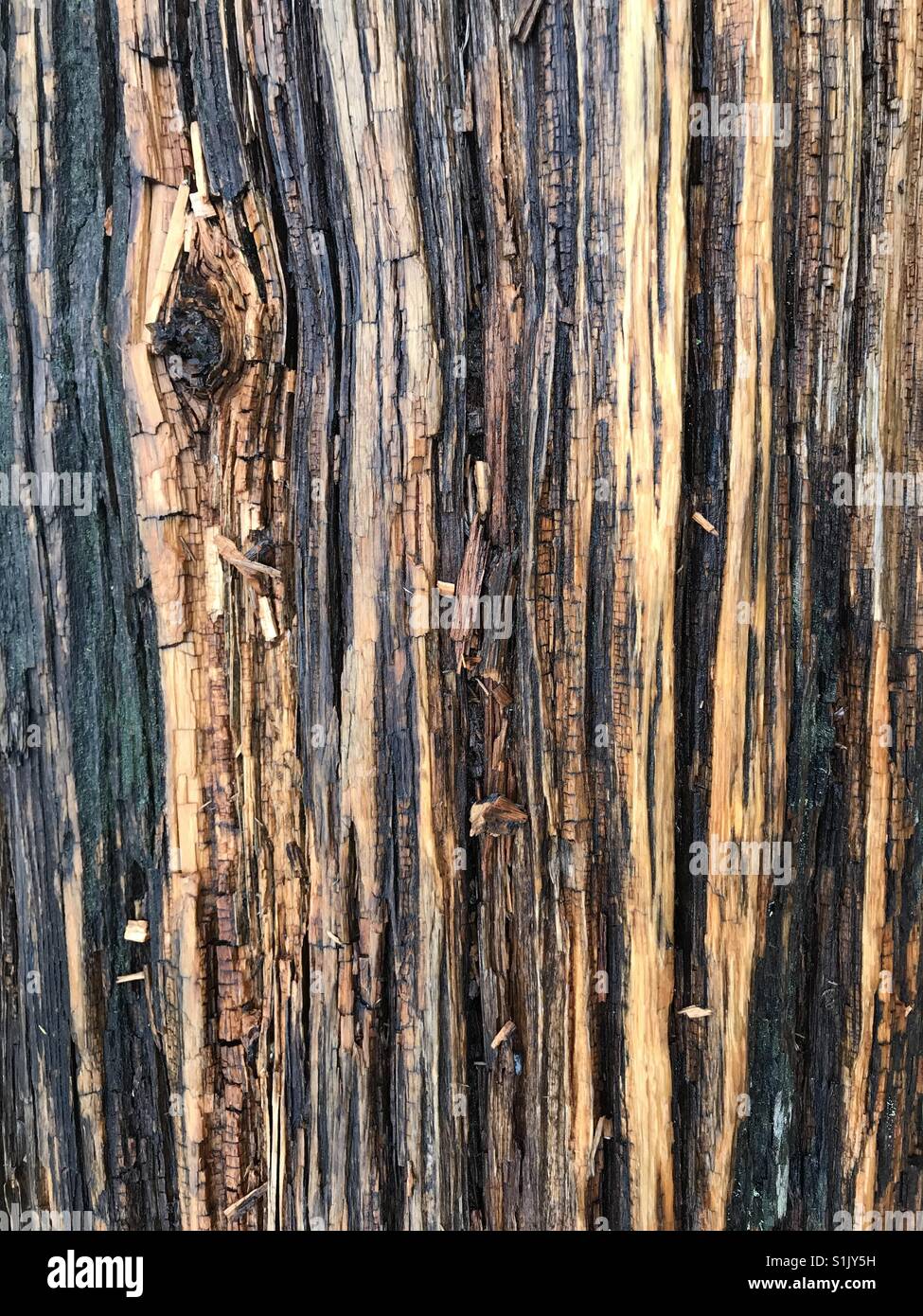 Wet colored log hi-res stock photography and images - Alamy