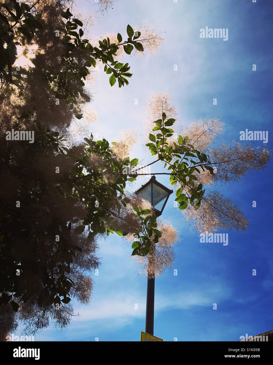 Sheen road hi-res stock photography and images - Alamy