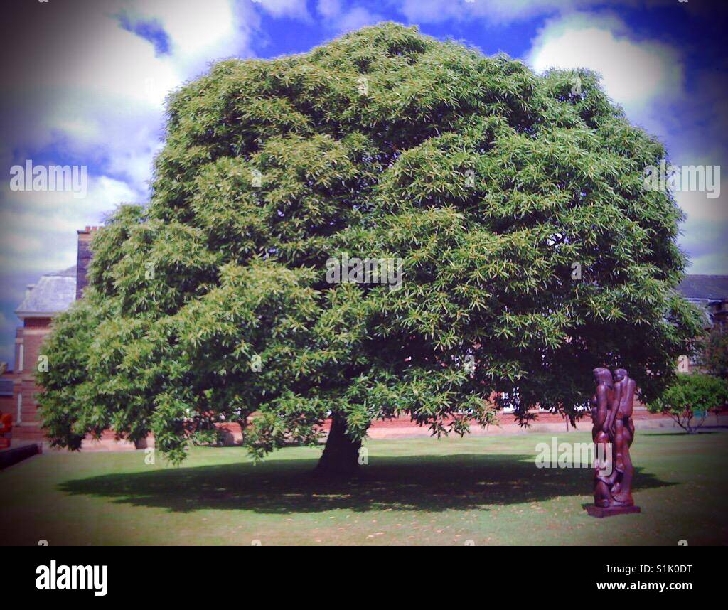 Tree and statue Stock Photo - Alamy