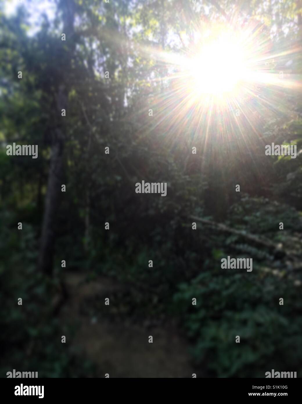 Let Your Light Shine High Resolution Stock Photography and Images - Alamy