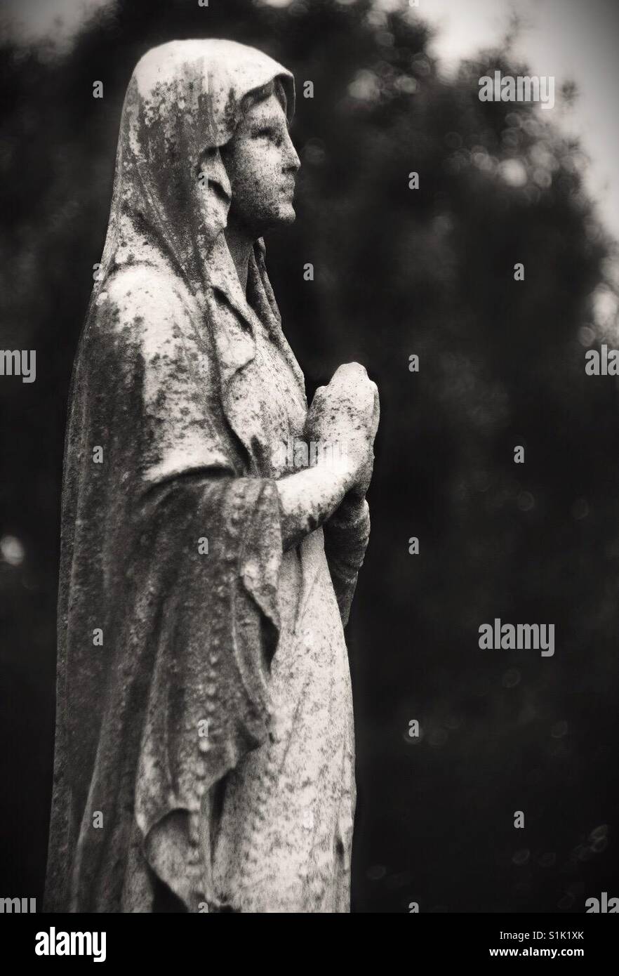 Mary mother of jesus hi-res stock photography and images - Alamy