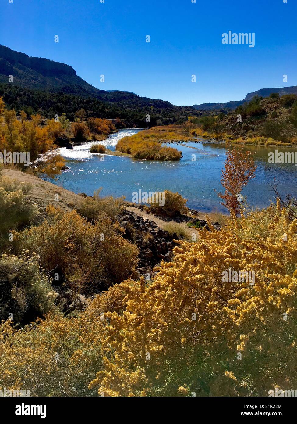 The Rio Grande, near Pilar, New Mexico, US Stock Photo - Alamy