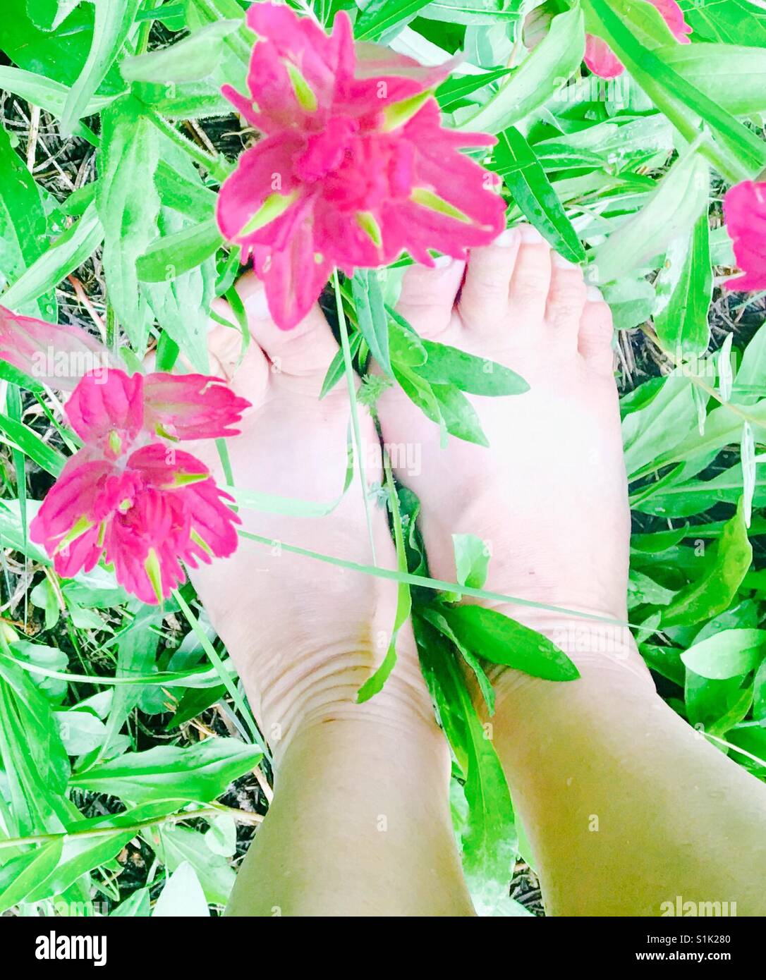 Feet and flowers hi-res stock photography and images - Alamy