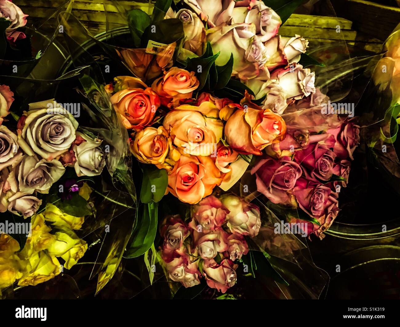 Give roses hi-res stock photography and images - Alamy