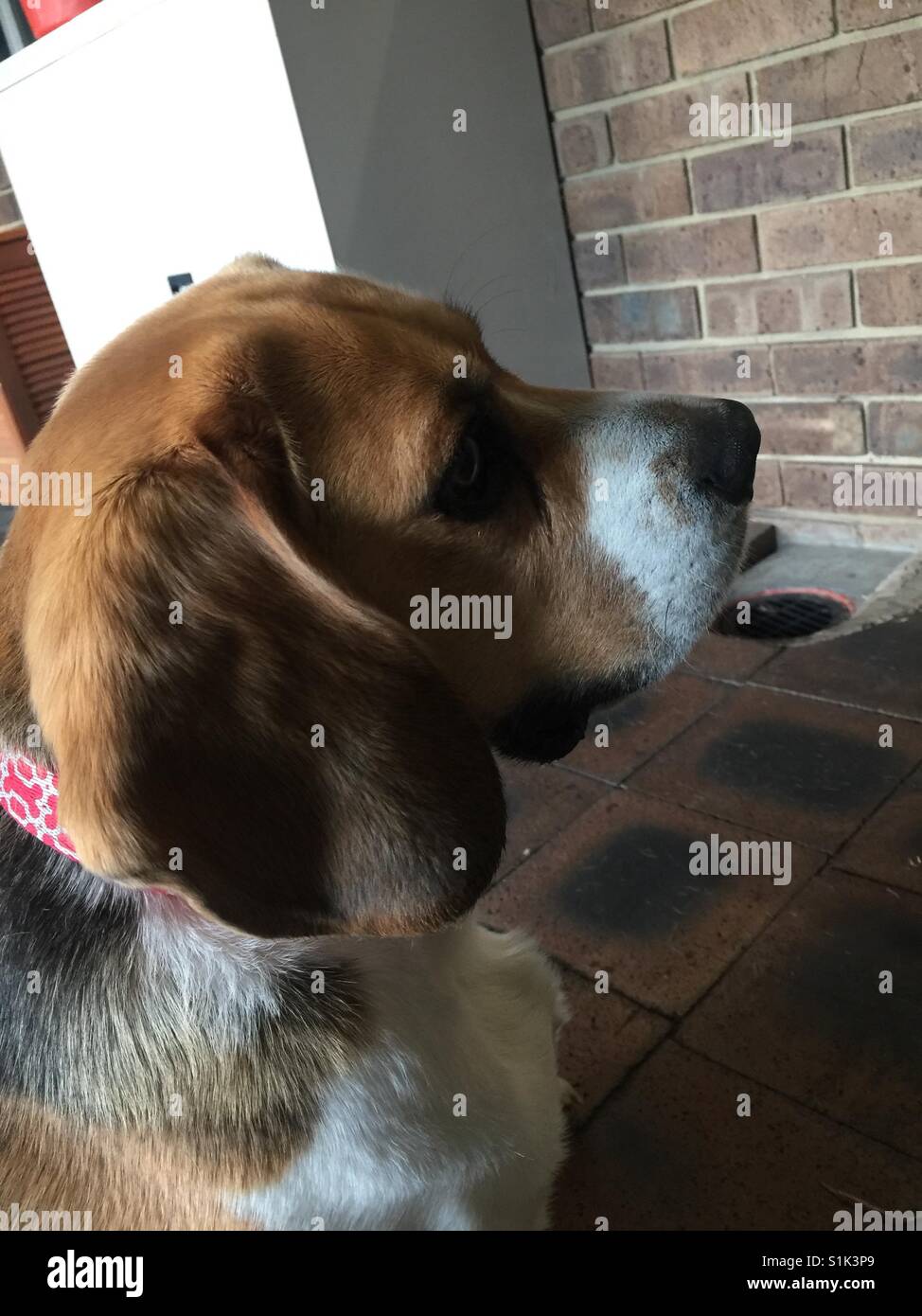 Alert position hi-res stock photography and images - Alamy