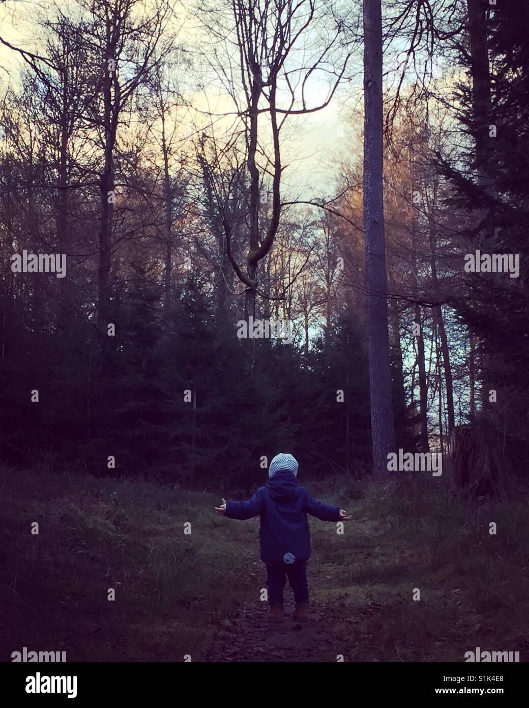 Kid in the forest hi-res stock photography and images - Alamy