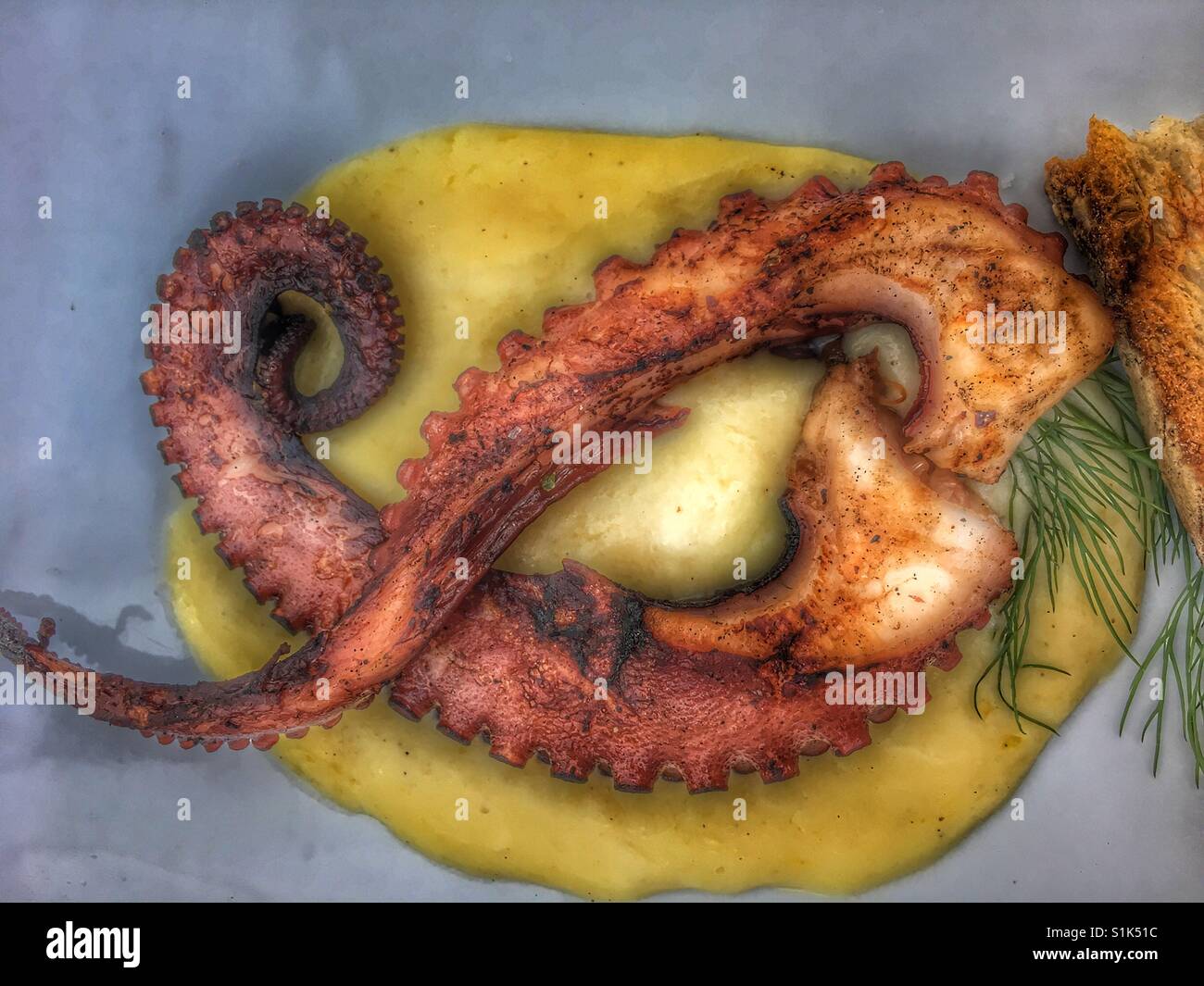 Octopus. Spanish tapas : Pata de Pulpo Stock Photo - Alamy