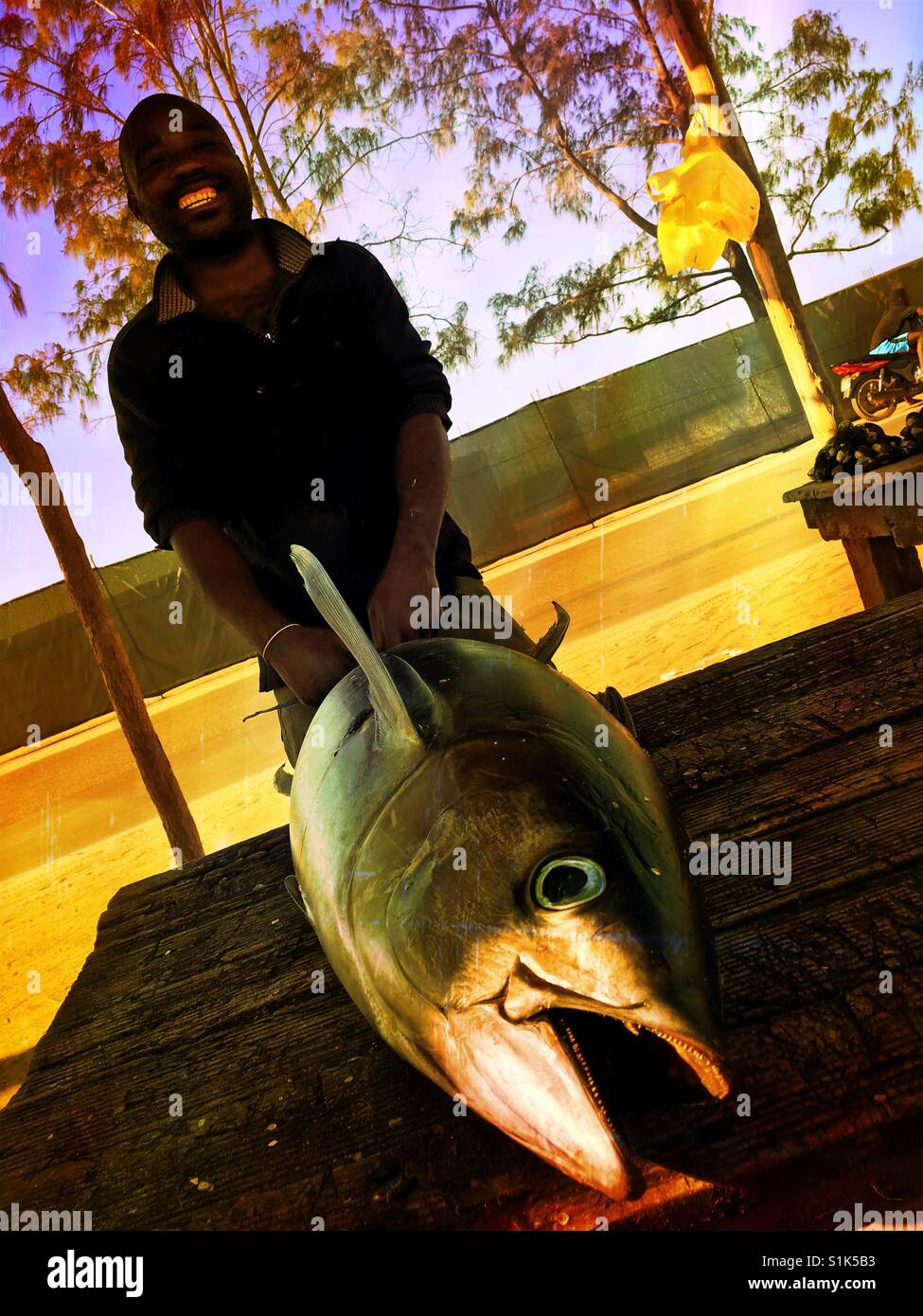 Selling fish mozambique hi-res stock photography and images - Alamy