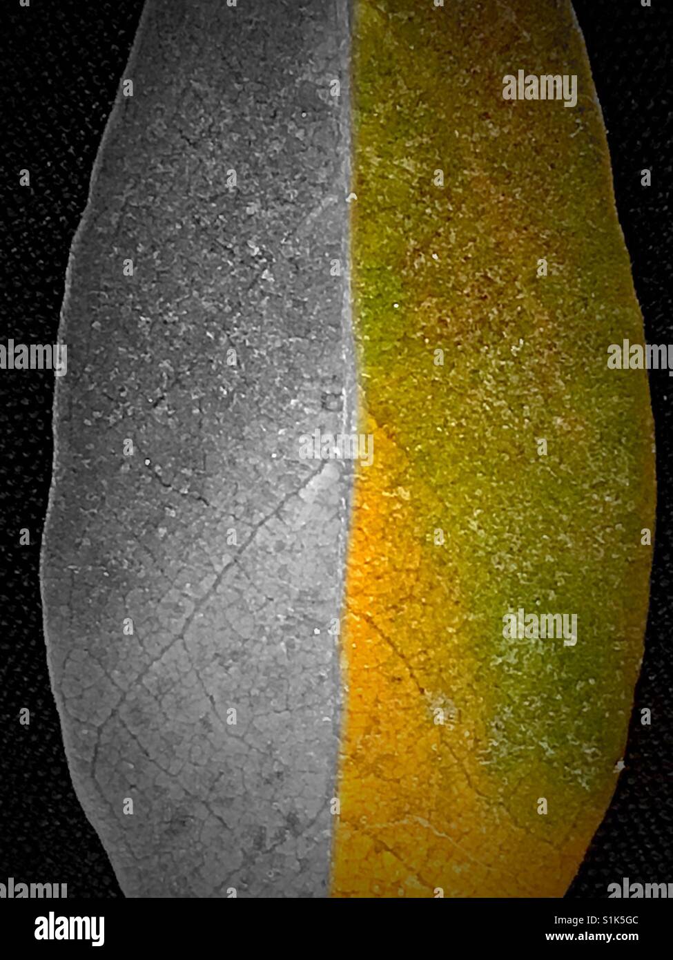 Werries hi-res stock photography and images - Alamy