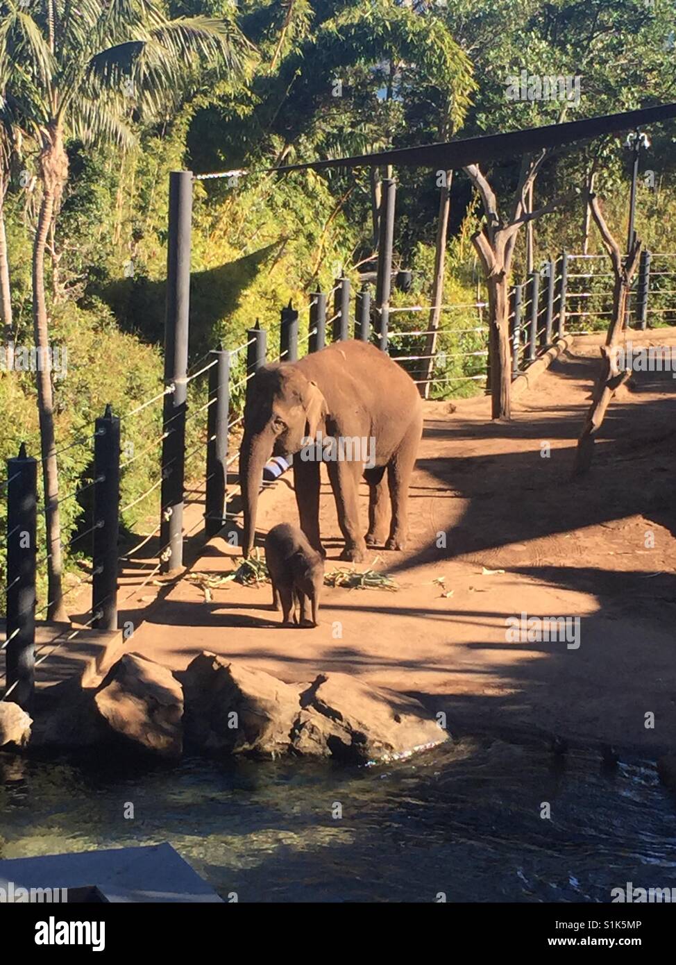 Taronga zoo hi-res stock photography and images - Alamy