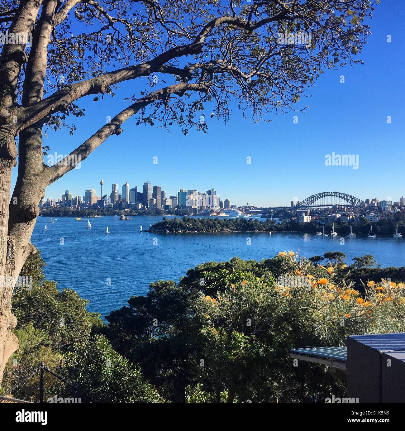 Sydney winter hi-res stock photography and images - Alamy