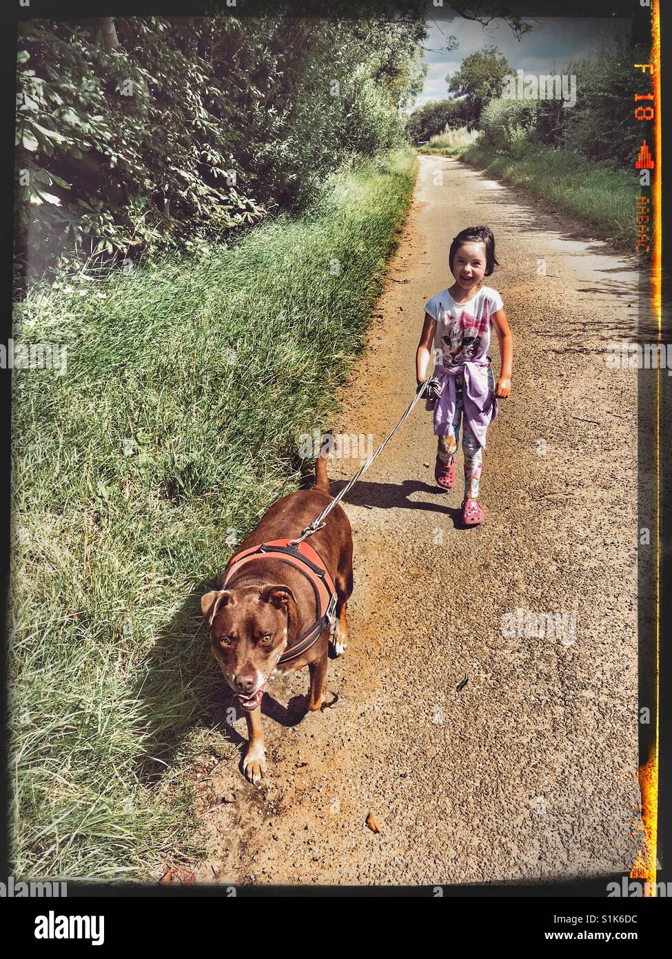 Walking the dog Stock Photo - Alamy