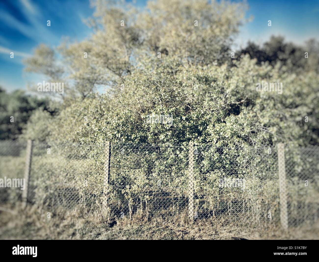 Former Cold War military base Stock Photo - Alamy