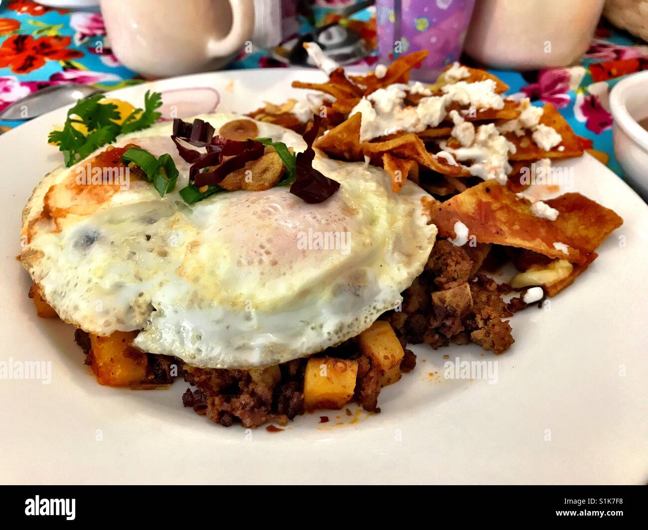 Huevos Estrellados Chistoso