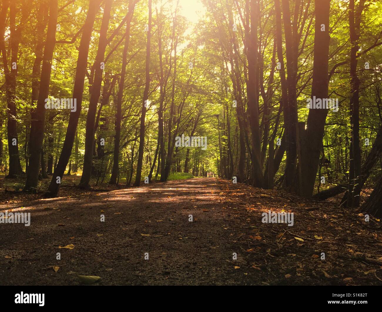 Romantic trail hi-res stock photography and images - Alamy