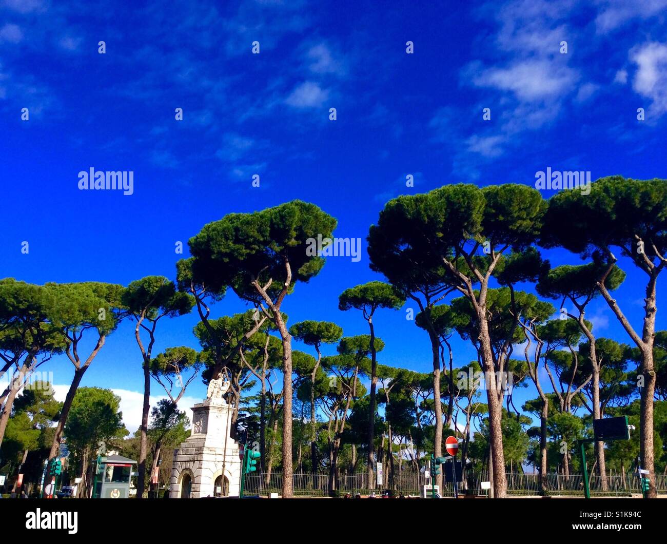 Umbrella pines rome hi-res stock photography and images - Alamy