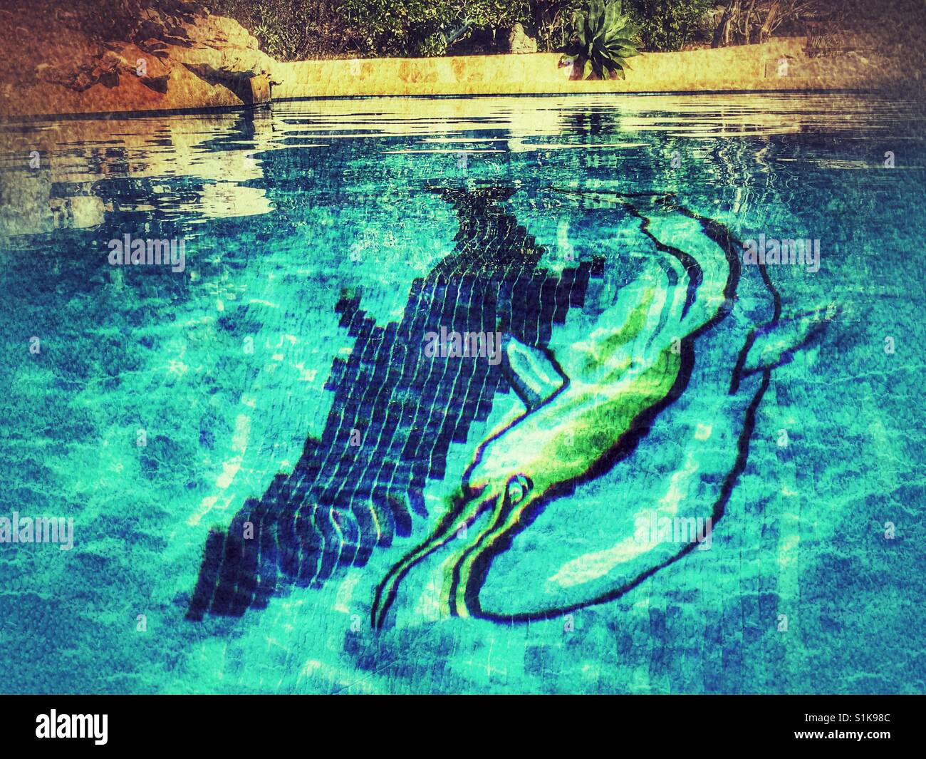 Mosaic dolphin in tiled swimming pool Stock Photo - Alamy