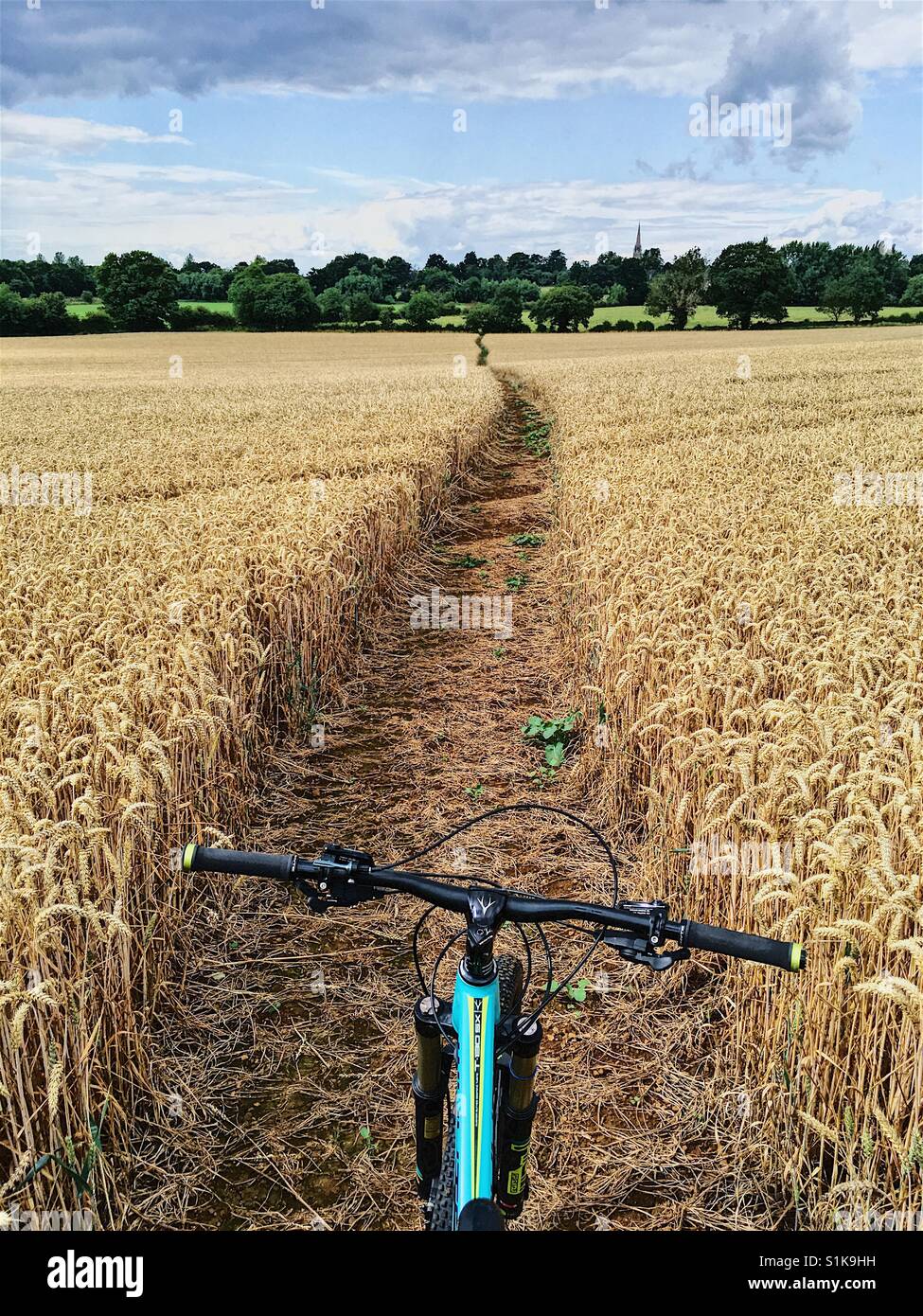 Bike in a cornfield Stock Photo - Alamy