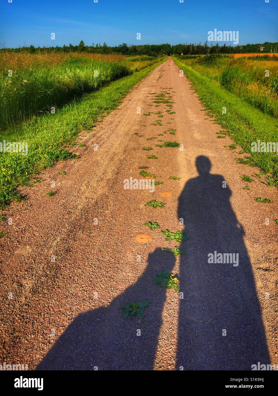 Shadow of a person and her dog Stock Photo - Alamy