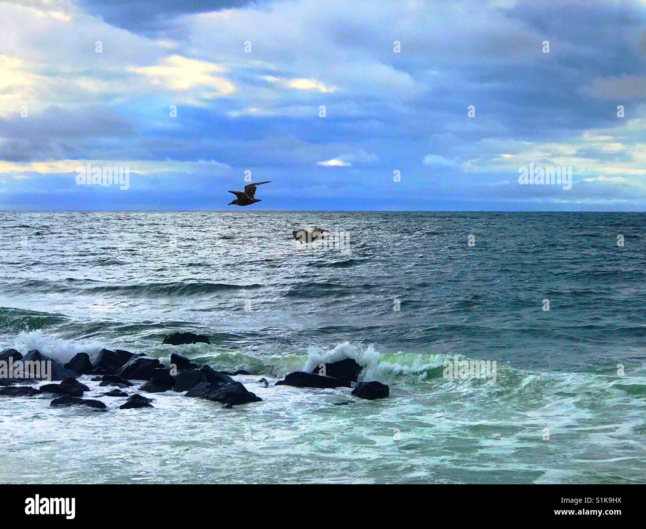 A pair of birds flying through the wavy ocean, with beautiful blue sky ...