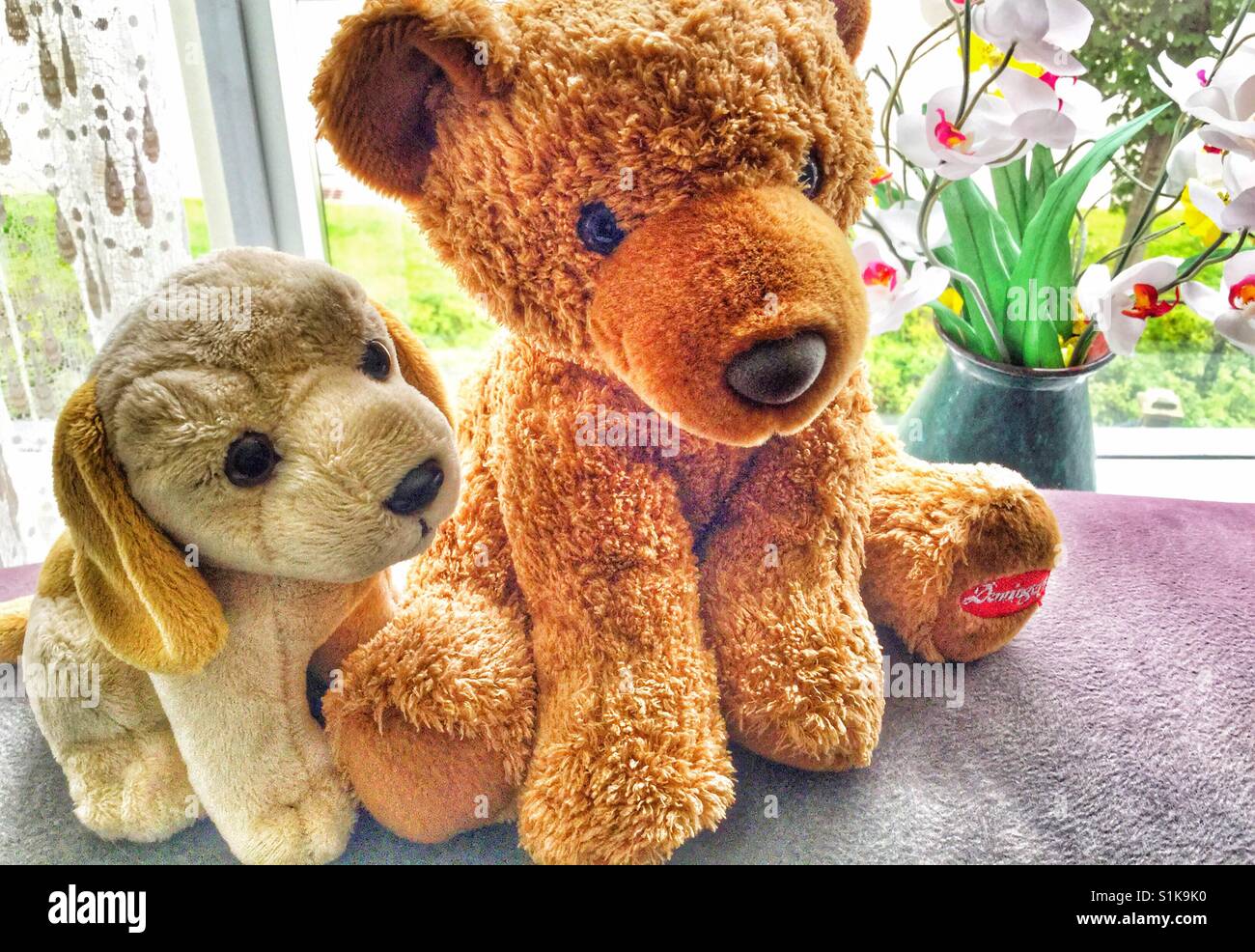 Stuffed animals sitting on a couch Stock Photo - Alamy